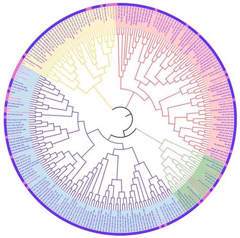 Multiple Genome Based Simple Sequence Repeat Is An Efficient And Successful Method In Genotyping