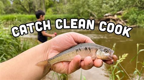 Creek Chub Fishing Catch Clean Cook Youtube