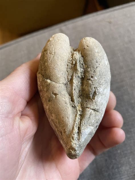 Fossilised Vag Rmildlyvagina