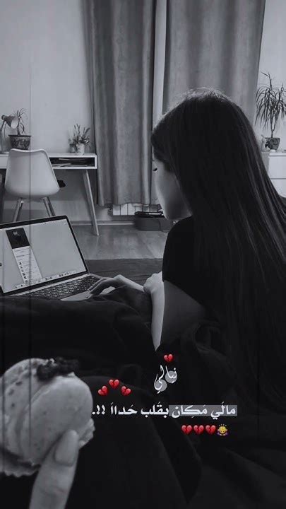 ٩ أغسطس ٢٠٢٥ Youtube