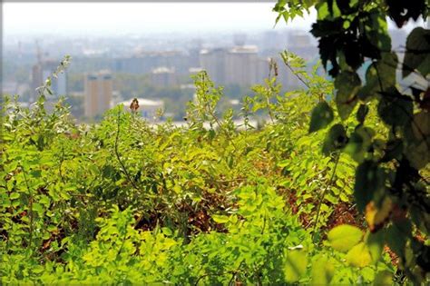 My Favorite 10 Things To Do Dushanbe