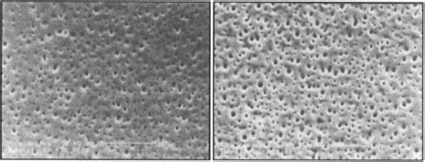 Scanning Electron Microscopy Pictures Of The Grating Surface Area