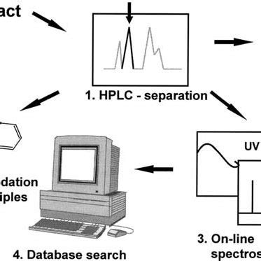 Principle Of HPLC Based Activity Profiling Of Extracts Download Scientific Diagram