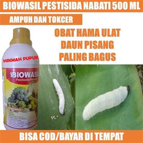 Cod Murah Biowasil Pestisida Pembasmi Hama Ulat Daun Pisang Kunyit