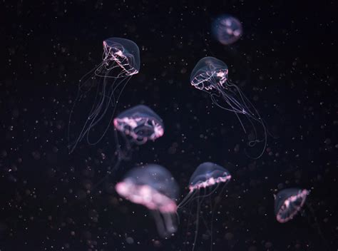 Tiny Sparks By Suicynical On Deviantart