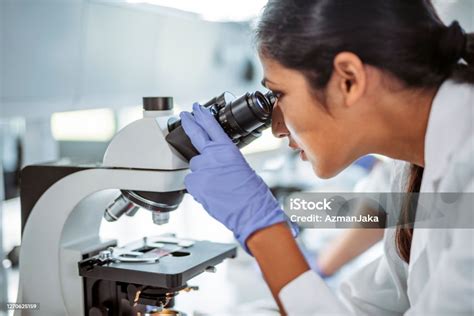 현미경으로 샘플을 검사하는 인도 대학 학생 20 24세에 대한 스톡 사진 및 기타 이미지 20 24세 Stem 주제 건강