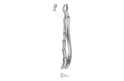 Nature Instrument Extracting Forceps