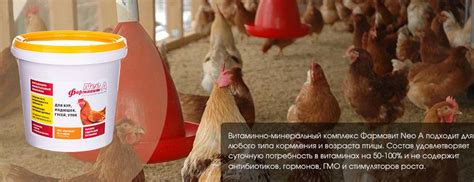 Факторы, влияющие на продуктивность кур | НПП "Фармакс"