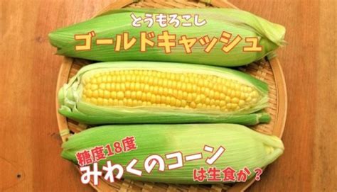 ゴールドラッシュ とうもろこしの食べ方は？茹で方やレンジを使った方法を紹介！ 最近気になること！