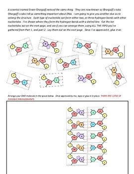 Dna Puzzle Lab Race To Solve The Structure Of Dna Ngss Virtual Friendly