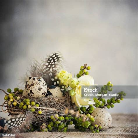메추리알 및 페더스 만들진 네스트 갈색에 대한 스톡 사진 및 기타 이미지 갈색 농장 다중 색상 Istock