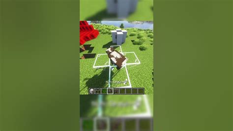 Entity Cramming Verhindern🤯🤯🤯 Minecraft Minecraftshorts Fyp Fypシ