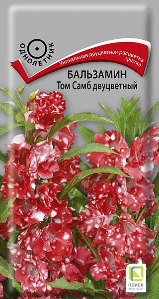 Бальзамин Том Самб двуцветный семена - низкая цена, описание, отзывы ...