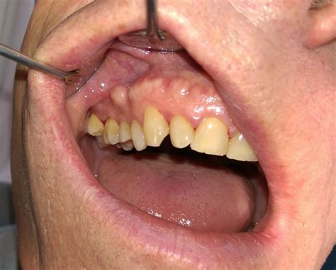 Astounding Facts About Tori Black Facts Net