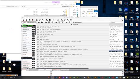 Tool Translator Standard Version Developer Version F Zone Adult Games Comics