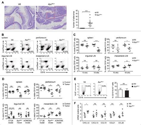 B Lymphocytes Are Expanded In Tumor Draining LNs Of Apc Min C Mice A