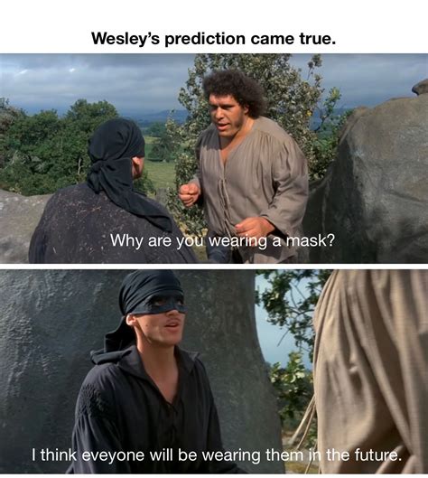 20 Princess Bride Memes That Remind Us Why The Movie Is Brilliant Artofit
