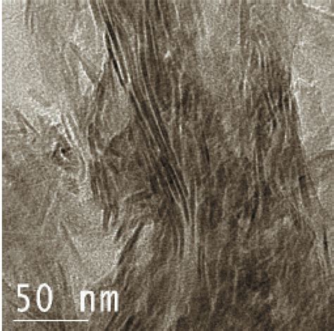 Tem Image Of Mineralized Collagen Fi Brils In The Absence Of Oc