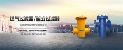 河北菲滤特水处理设备有限公司