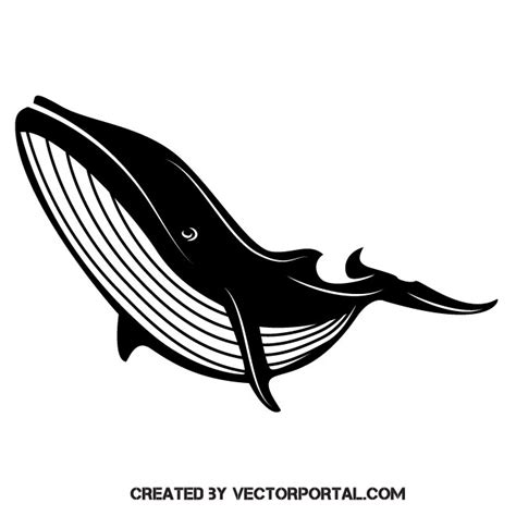 Whale Monochrome Clip Art Free Vector Download Vectorportal