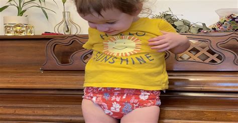 How To Sew Reusable Pull On Potty Trainers Tutorialslider Image Bernina