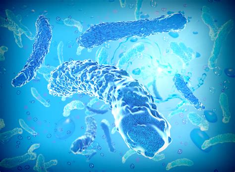What Bacteria And Pathogens Can Live In A Florida Swimming Pool IPD
