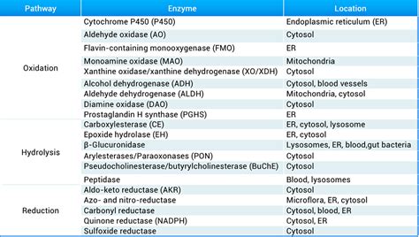 Non P450酶介导的代谢研究和体外评估策略 知乎