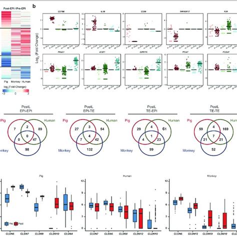 Pdf Cross Species Single Cell Transcriptomic Analysis Reveals Pre