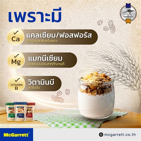 แพ็ค 3 แม็กกาแรต แผ่นข้าวโอ๊ตอบ 1 กิโลกรัม Jr Fandb Thaipick