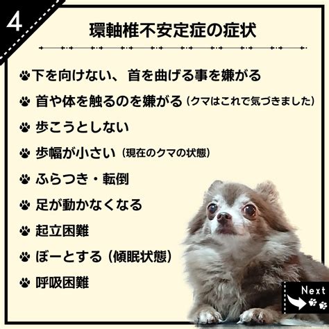 Mofuupy