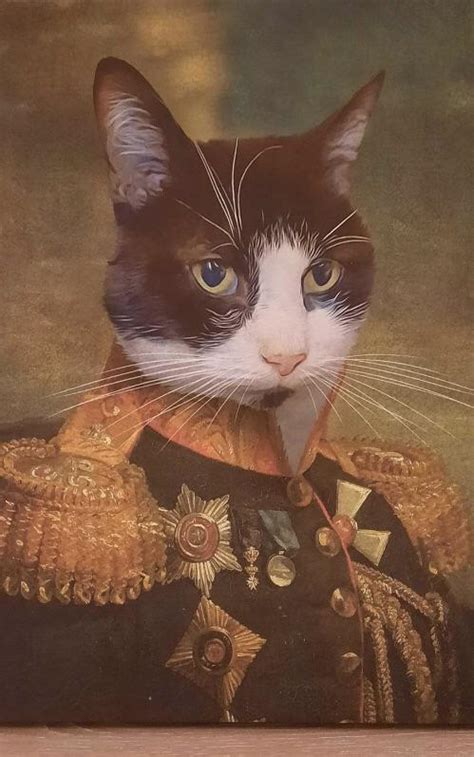 Spy Classroom Character Visual Sibylla Pandemonium R Spyroom