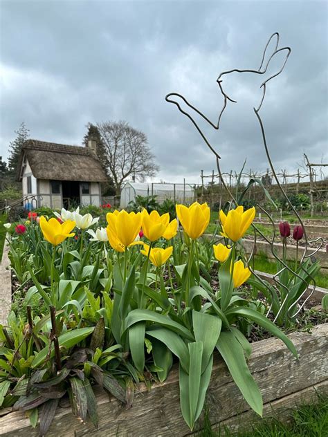 Joyce Gervis On Linkedin Happy Easter End Of March And Start Of