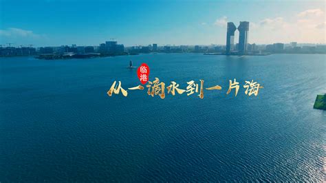专题 资本赋能有道 向新提质可期——上证·滴水湖上市公司高质量发展大会圆满落幕 上海证券报·中国证券网