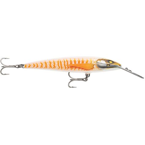 Rapala Cd Magnum Elite 145 Tacklewest