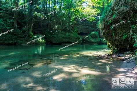 Klares Wasser In Einem Bach Im Wald Mit Baeumen Und Pflanzen Stock