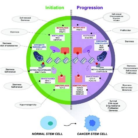 Epigenetic Alterations Responsible For The Initiation And Maintenance