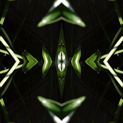 Abstract Natural Geometric Background With Repeating Patterns Sun Spots On Dark Green Leaves Of