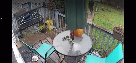 Fedex Jerk Throwing My Fragile Package R Peoplebeingjerks