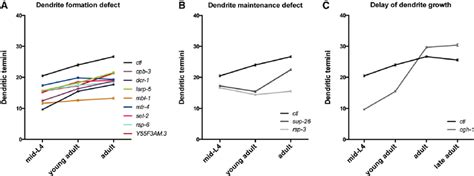 A Time Course Analysis Of Dendrite Development Reveals Defects In