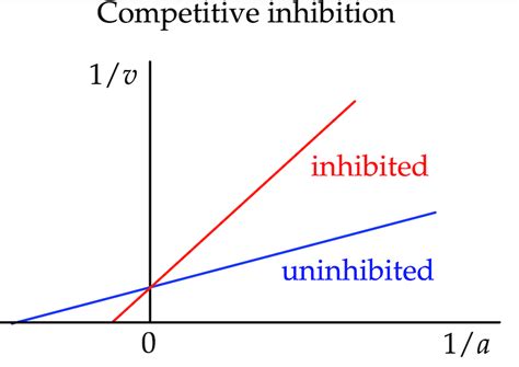 Enzyme Inhibition Chemtalk