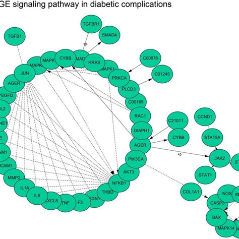 Detailed Information Of Sub Pathway Age Rage Signaling Pathway In