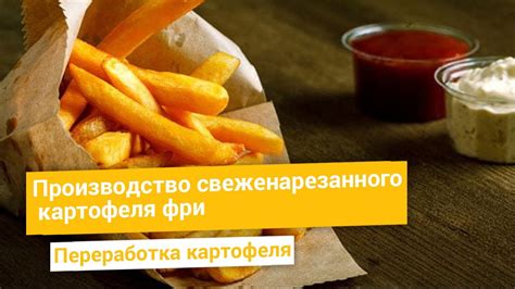 Бельгийское производство картофеля фри для поставок в кафе и рестораны ...