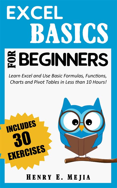 EXCEL BASICS FOR BEGINNERS Learn Excel And Use Basic Formulas Functions Charts And Pivot