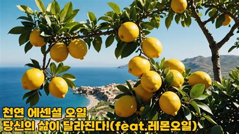 천연에센셜 오일 및 도테라 레몬오일 활용법~ Youtube