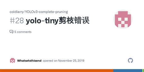 yolo tiny剪枝错误 Issue coldlarry YOLOv complete pruning GitHub