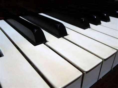 La Calebasse Comme Percussion Le