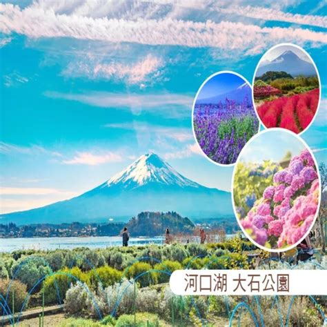 【吉航旅遊】立山黑部動感雪牆粉蝶花紫藤花富士芝櫻六日 星宇航空 Momo購物網 好評推薦 2024年1月