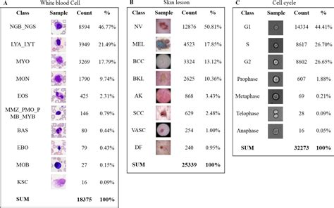 Figure 1 From Annotation Efficient Classification Combining Active Learning Pre Training And