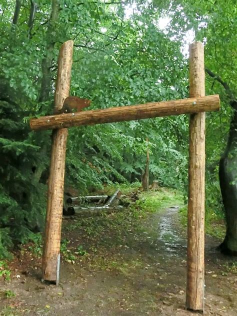 Auf Den Spuren Der Wildkatze Michael Erle Wandertipps