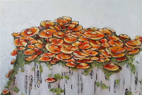 Natuur Ruby Van Assendelft Natuur Ruby Van Assendelft